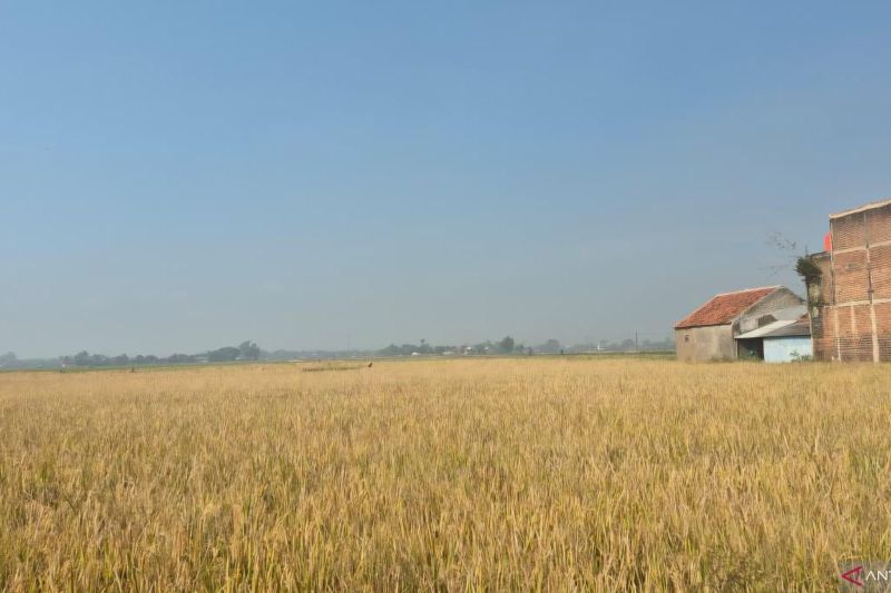 BPBD Cimahi petakan daerah rawan antisipasi dampak El Nino - ANTARA News