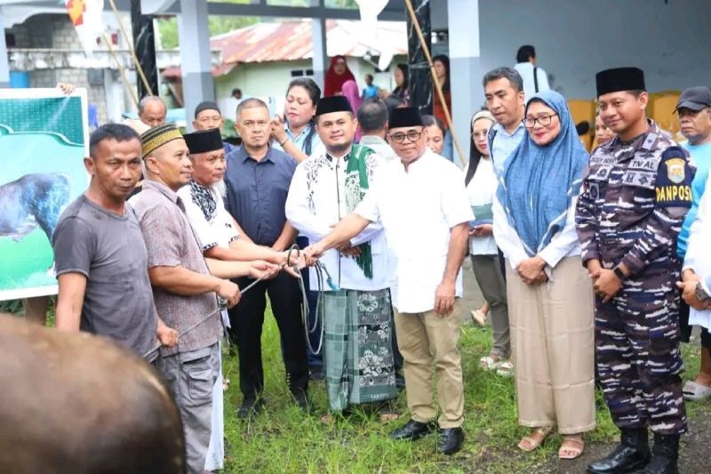Plt Bupati Sitaro salurkan bantuan hewan kurban Presiden di Tagulandang ...