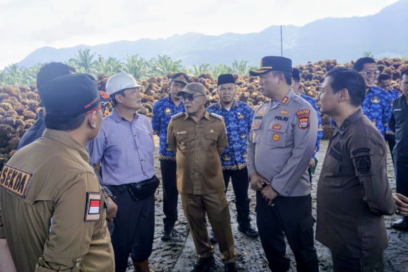 Pemkab Pasaman Barat "sidak" ke pabrik sawit ingatkan soal harga TBS ...