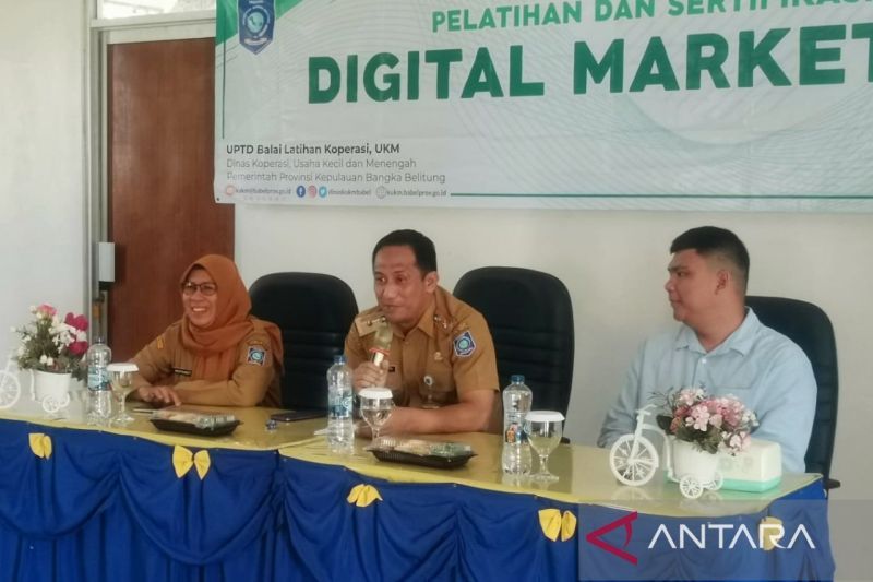 Dinas KUKM Babel gelar pelatihan dan sertifikasi digital marketing BNSP ...