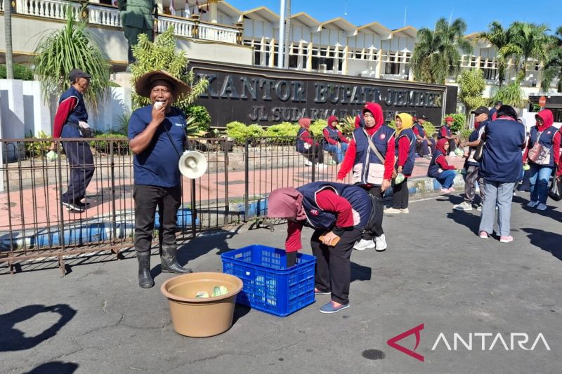 Harga anjlok, petani di Jember bagikan timun gratis ke warga - ANTARA ...