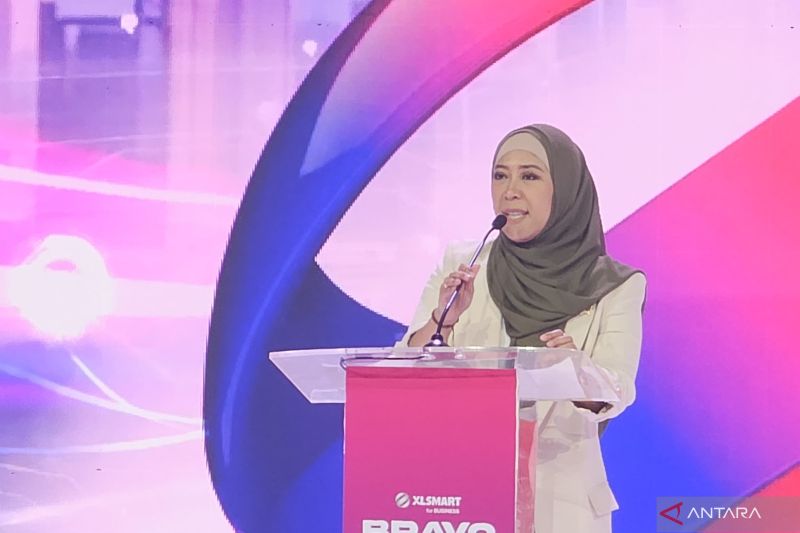 Minister presses for security safeguards in AI innovation - ANTARA News ...