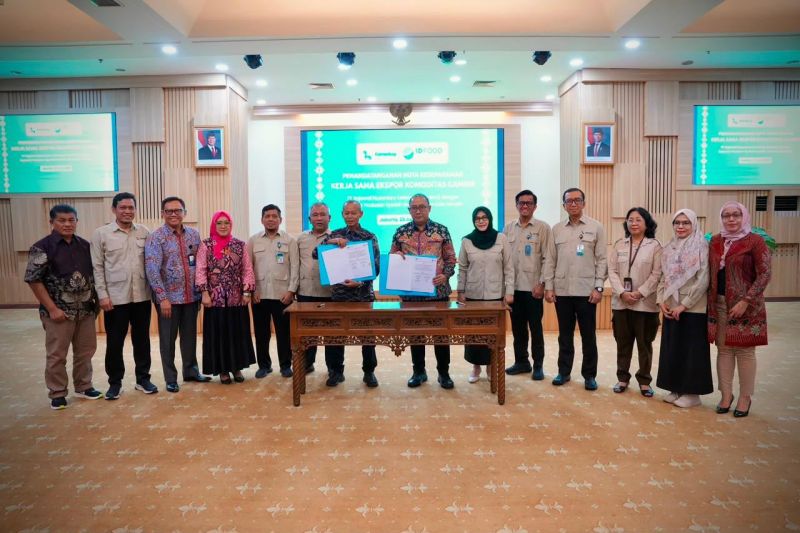 Koperasi gambir di Sumbar dan ID FOOD jalin kerja sama ekspor - ANTARA News