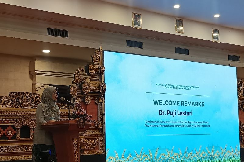 BRIN promotes Bali's subak as example of sustainable agriculture ...