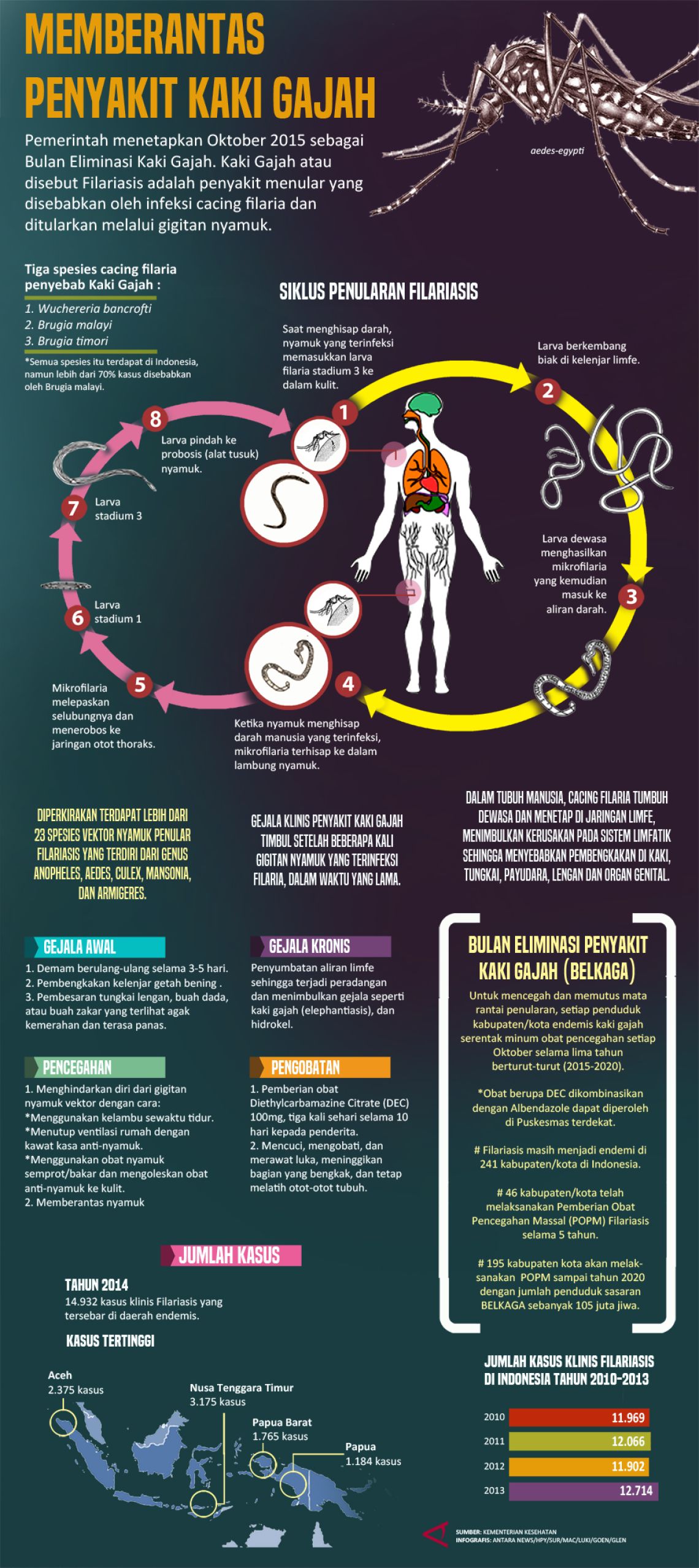 Kaki Gajah - Infografik ANTARA News