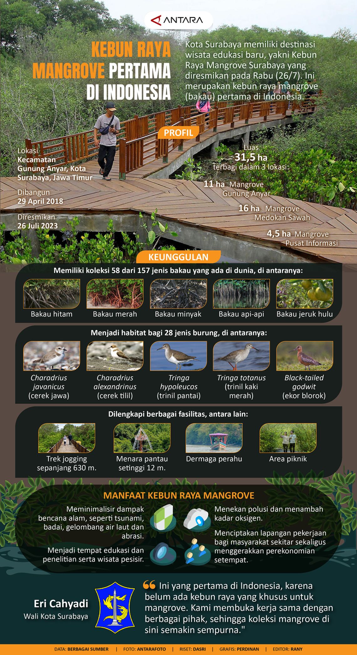 Kebun Raya Mangrove pertama di Indonesia - Infografik ANTARA News