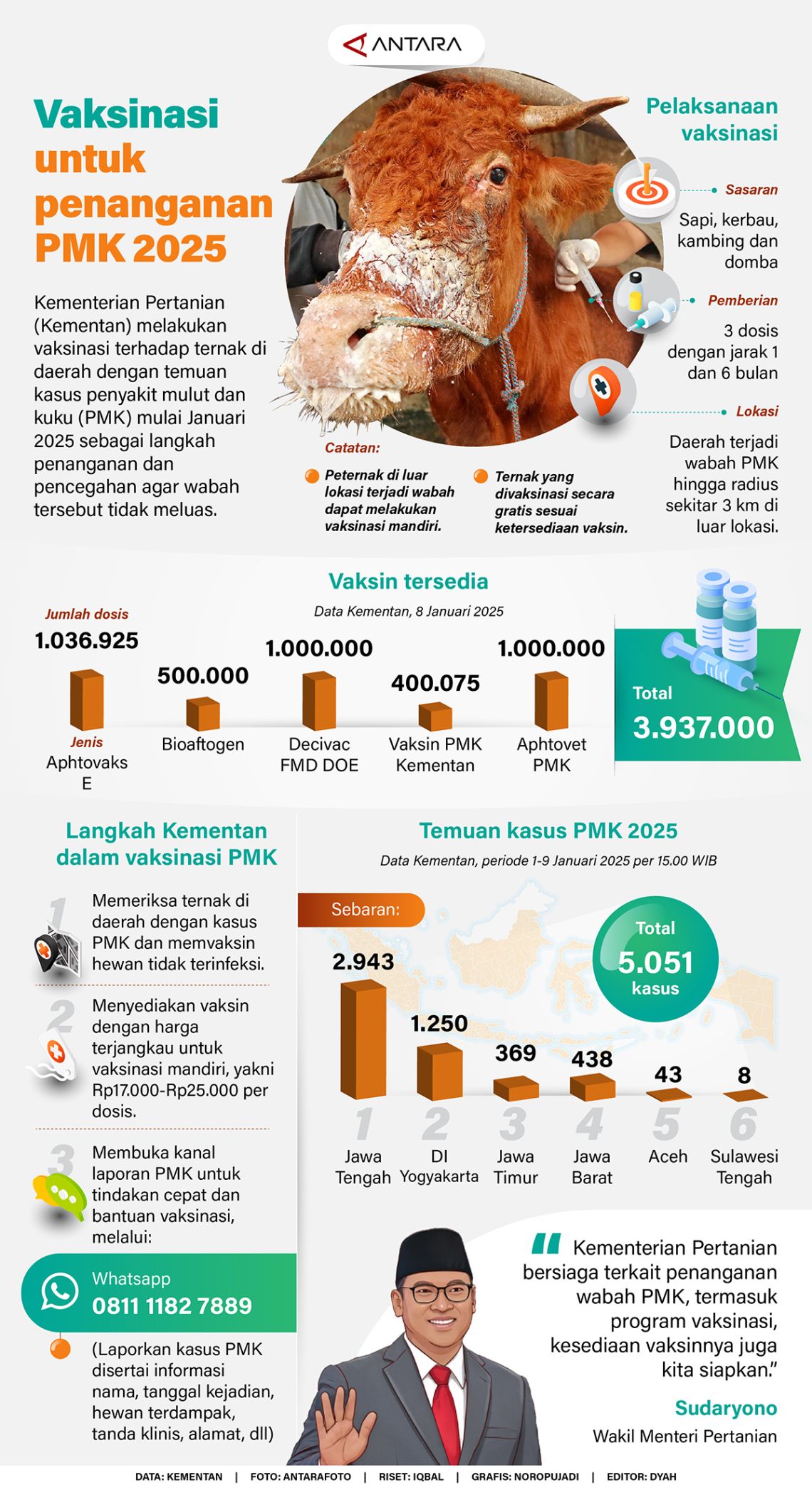 Vaksinasi untuk penanganan PMK 2025 - Infografik ANTARA News
