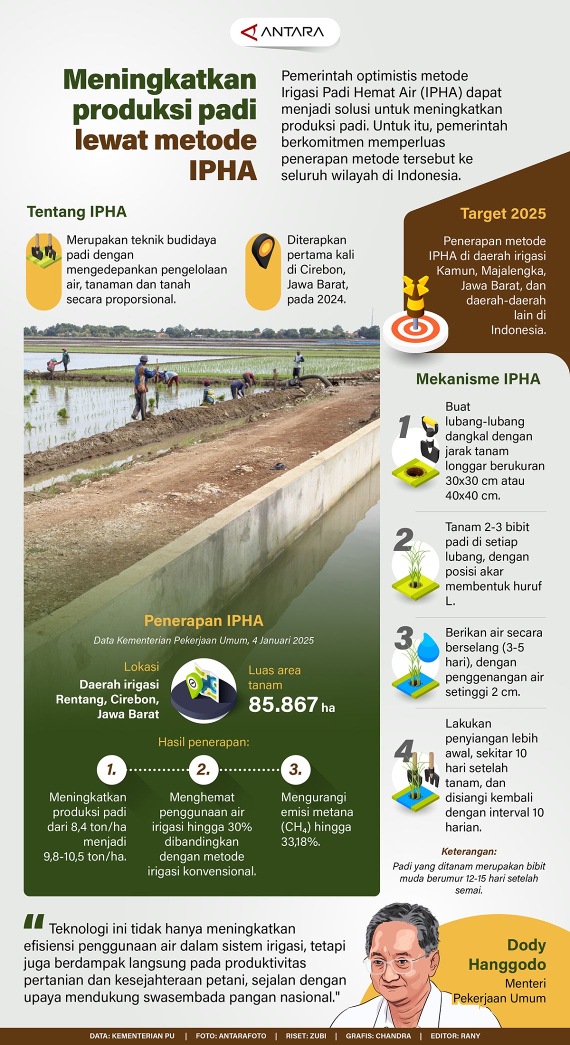 Meningkatkan produksi padi lewat metode IPHA - Infografik ANTARA News