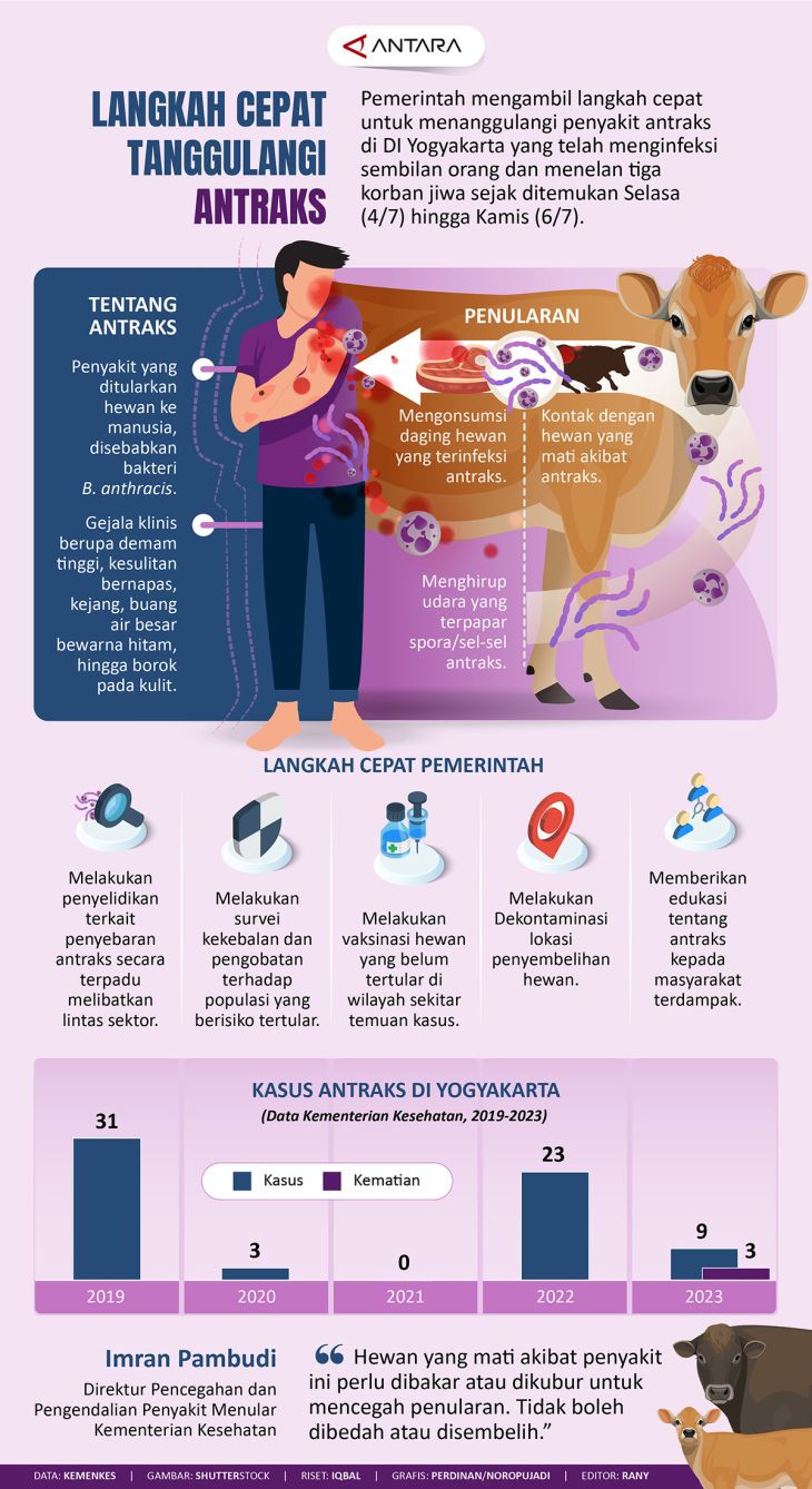 Langkah cepat tanggulangi antraks - Infografik ANTARA News