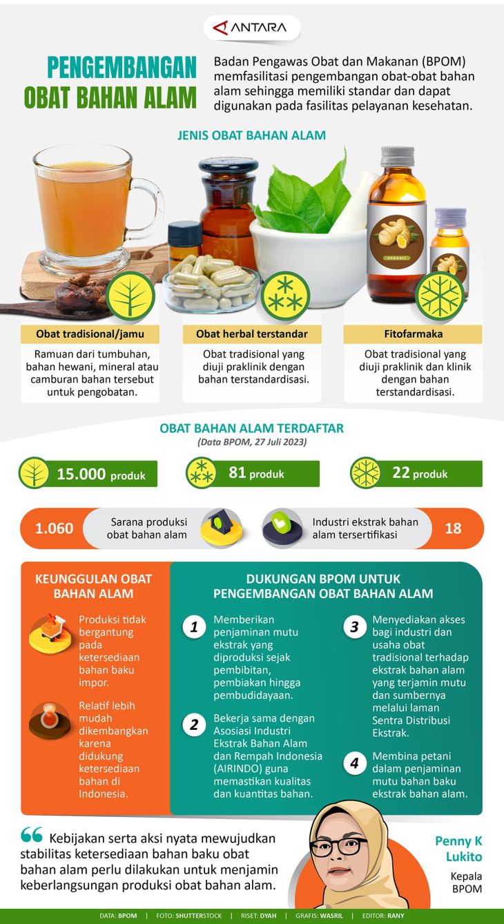 Pengembangan obat bahan alam - Infografik ANTARA News