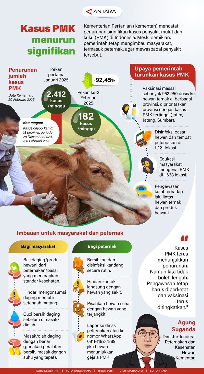 Kasus PMK menurun signifikan - Infografik ANTARA News